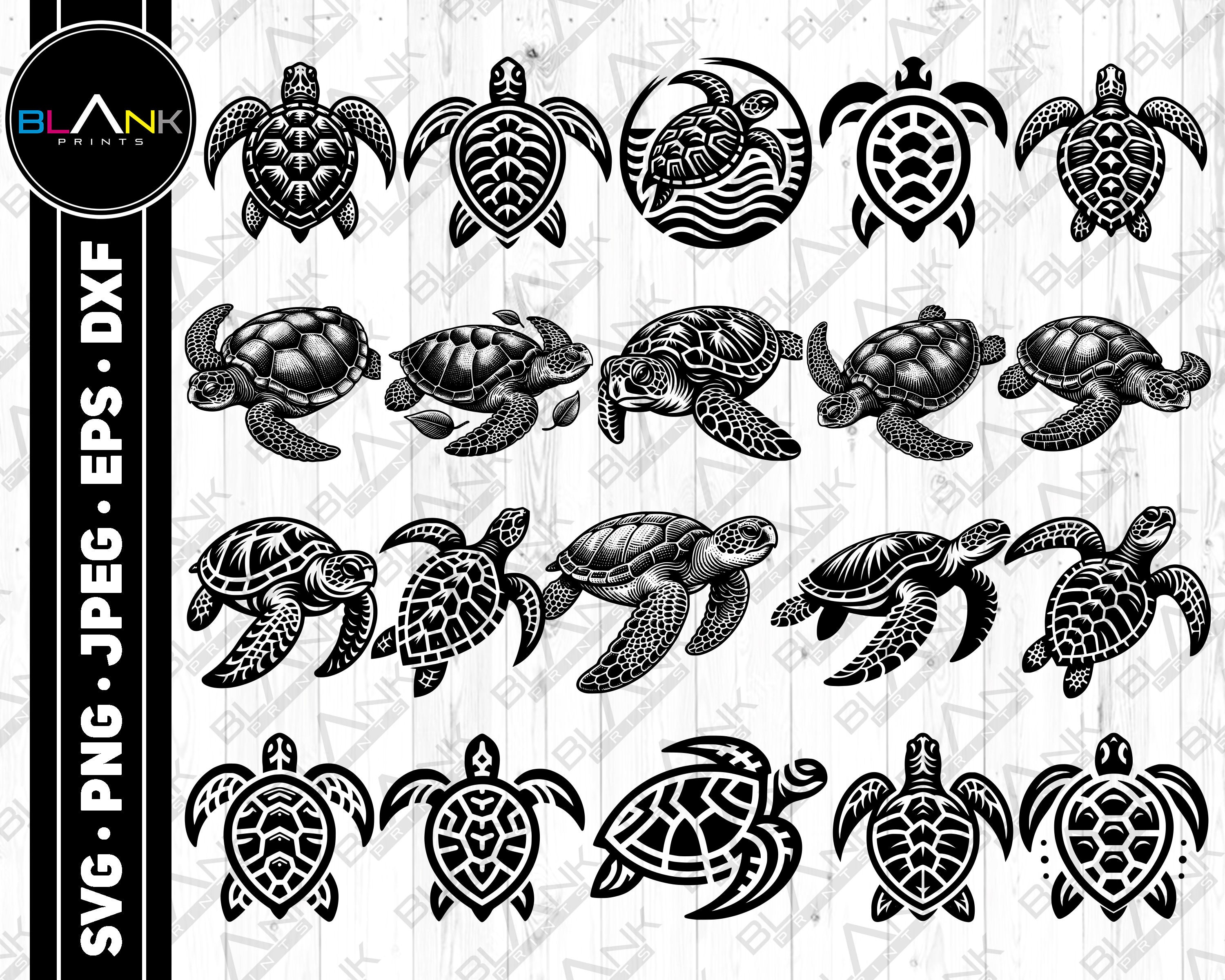 Turtle Bundle Svg Png Jpeg Eps Dxf Bundle Silhouette Cricut Commercial ...