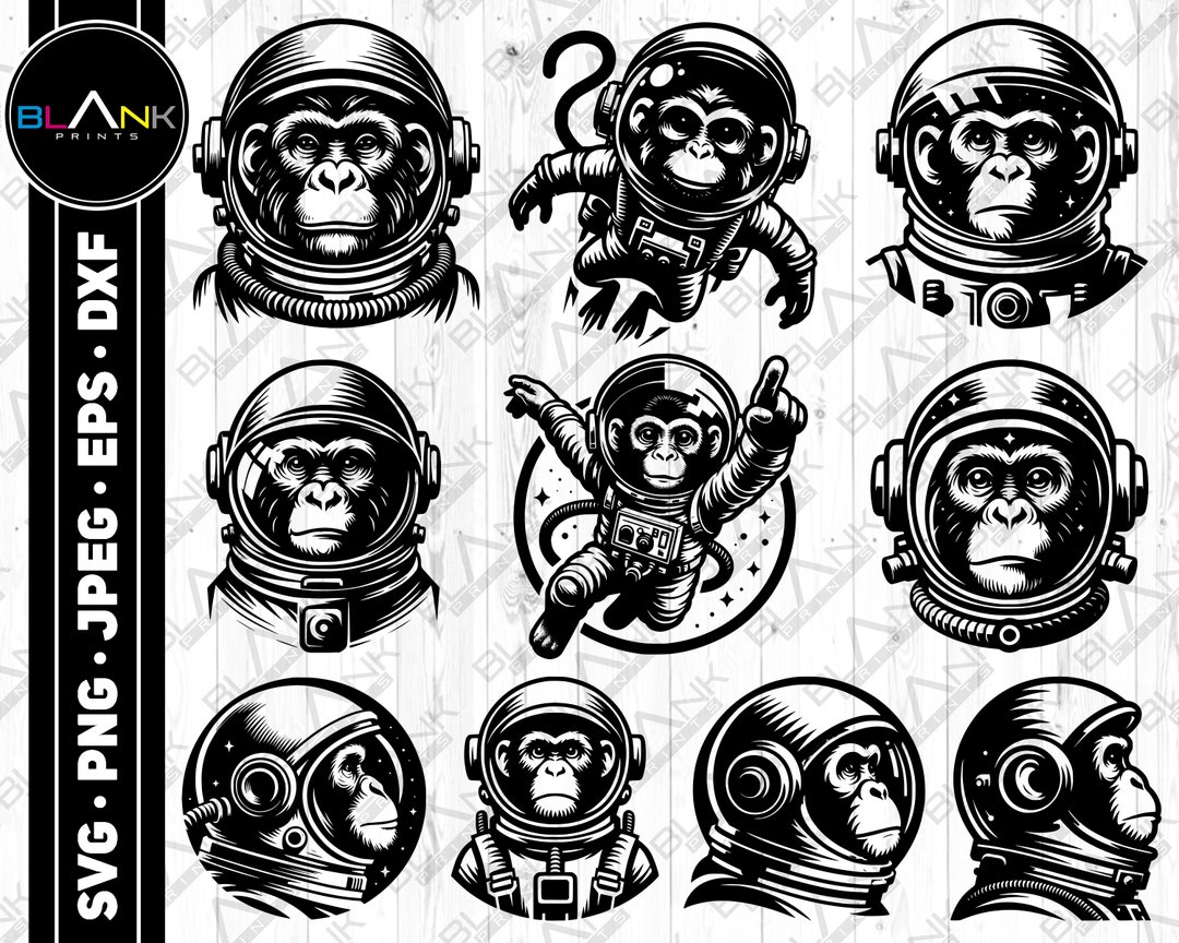 Astronaut Monkey Clipart Bundle (svg, Png, Eps, Jpeg, Dxf) (digital ...