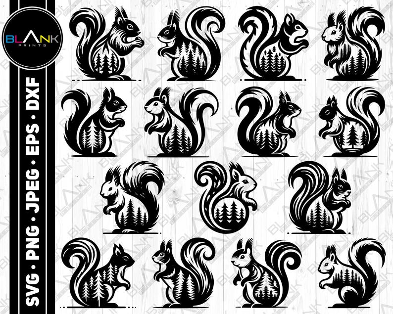 Squirrel Vector Bundle: Clipart, Cricut, Laser Cut Files (digital ...