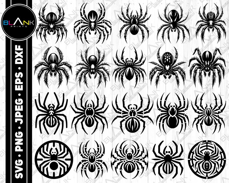 Spider Bundle Svg Png Jpeg Eps Dxf Bundle Silhouette Cricut Commercial ...