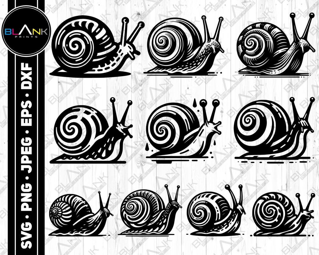 Snail Bundle Svg Png Jpeg Eps Dxf Bundle Silhouette Clipart Cricut ...