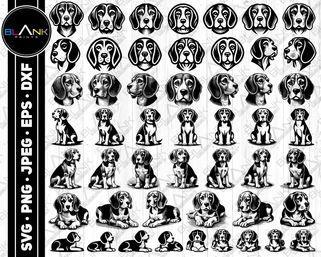 Beagle Bundle Svg Png Jpeg Eps Dxf Bundle Silhouette Cricut Commercial ...