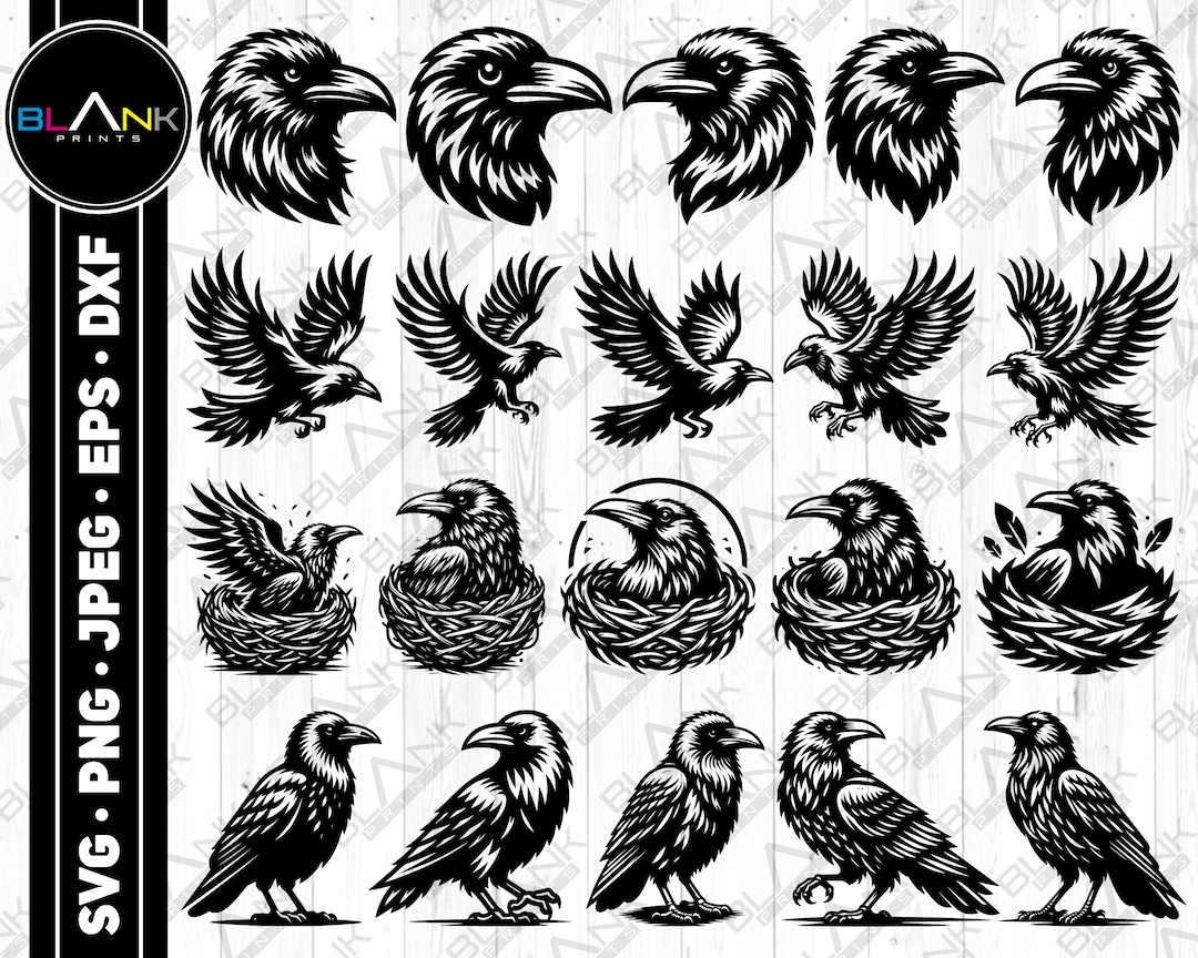 Raven Bundle Svg Png Jpeg Eps Dxf Bundle Silhouette Cricut Commercial ...