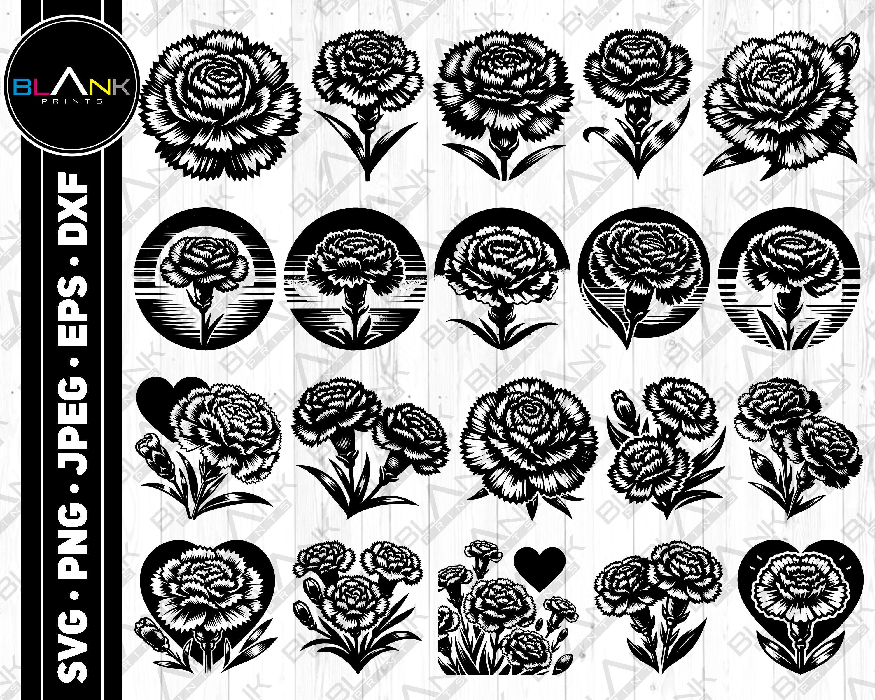 Carnation Flower Bundle Svg Png Jpeg Eps Dxf Bundle Silhouette Clipart ...