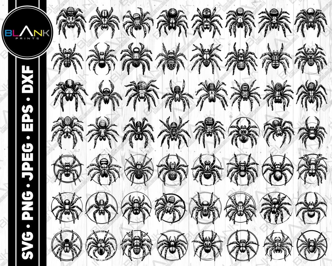 Tarantula Bundle Svg Png Jpeg Eps Dxf Bundle Silhouette Clipart Cricut ...