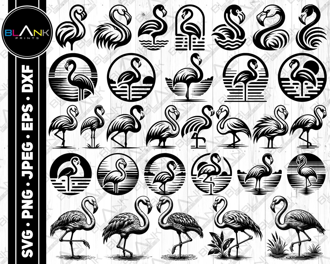 Flamingo Bundle Svg Png Jpeg Eps Dxf Vector Bundle Silhouette Cricut ...