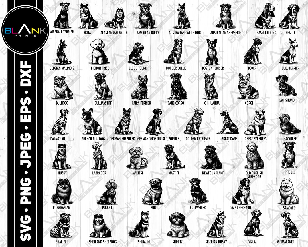 Dog Breed Bundle (svg, Png, Jpg, Eps, Dxf) (digital Download) - Etsy