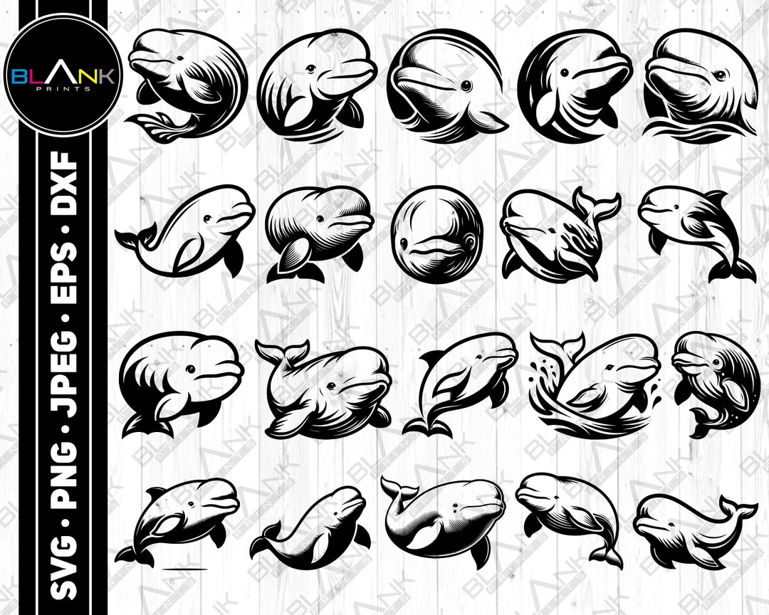 Beluga Bundle Svg Png Jpeg Eps Dxf Bundle Silhouette Clipart Cricut ...