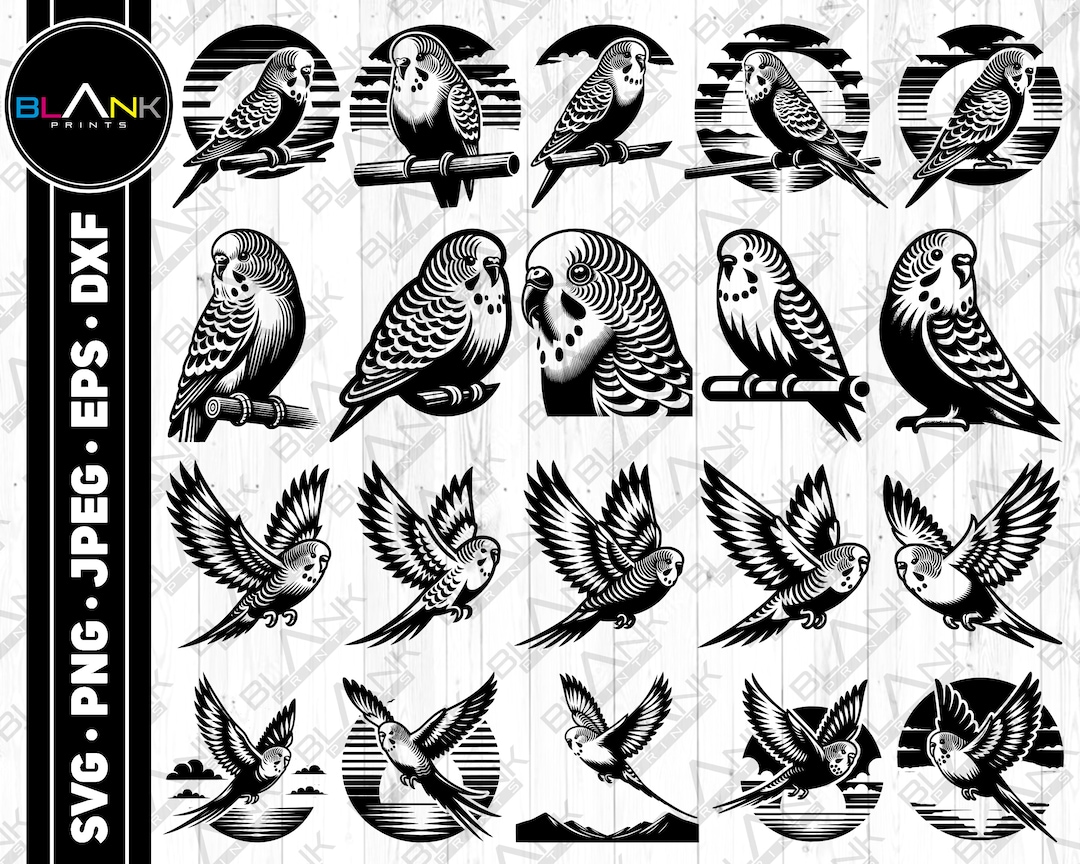 Budgie Bundle Svg Png Jpeg Eps Dxf Bundle Silhouette Cricut Commercial ...