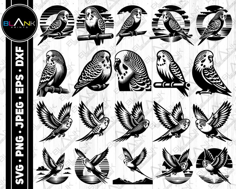 Budgie Bird SVG Bundle: Parakeet Silhouette, Commercial Use (digital ...