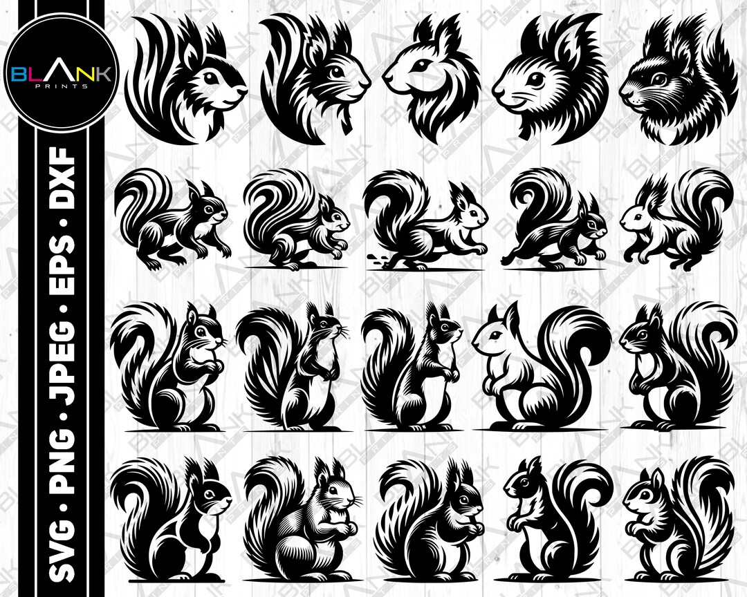 Squirrel Bundle Svg Png Jpeg Eps Dxf Bundle Silhouette Cricut ...