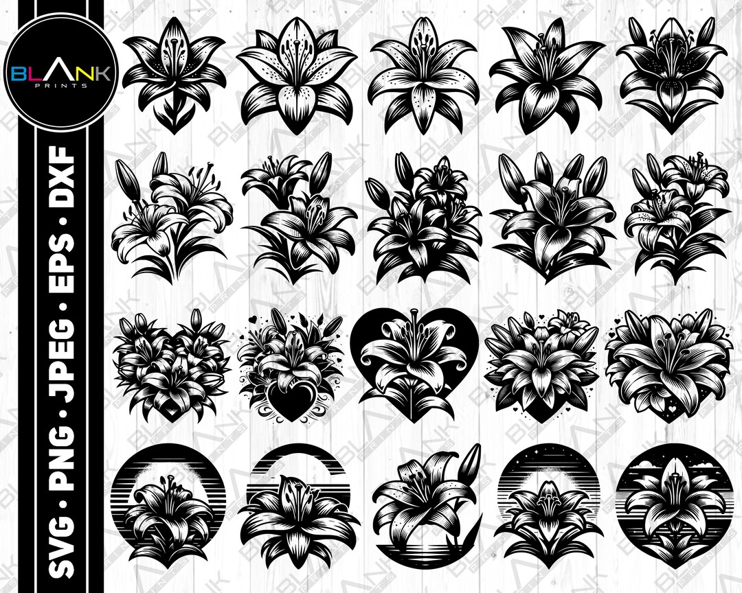 Lily Flower Bundle Svg Png Jpeg Eps Dxf Bundle Silhouette Clipart ...