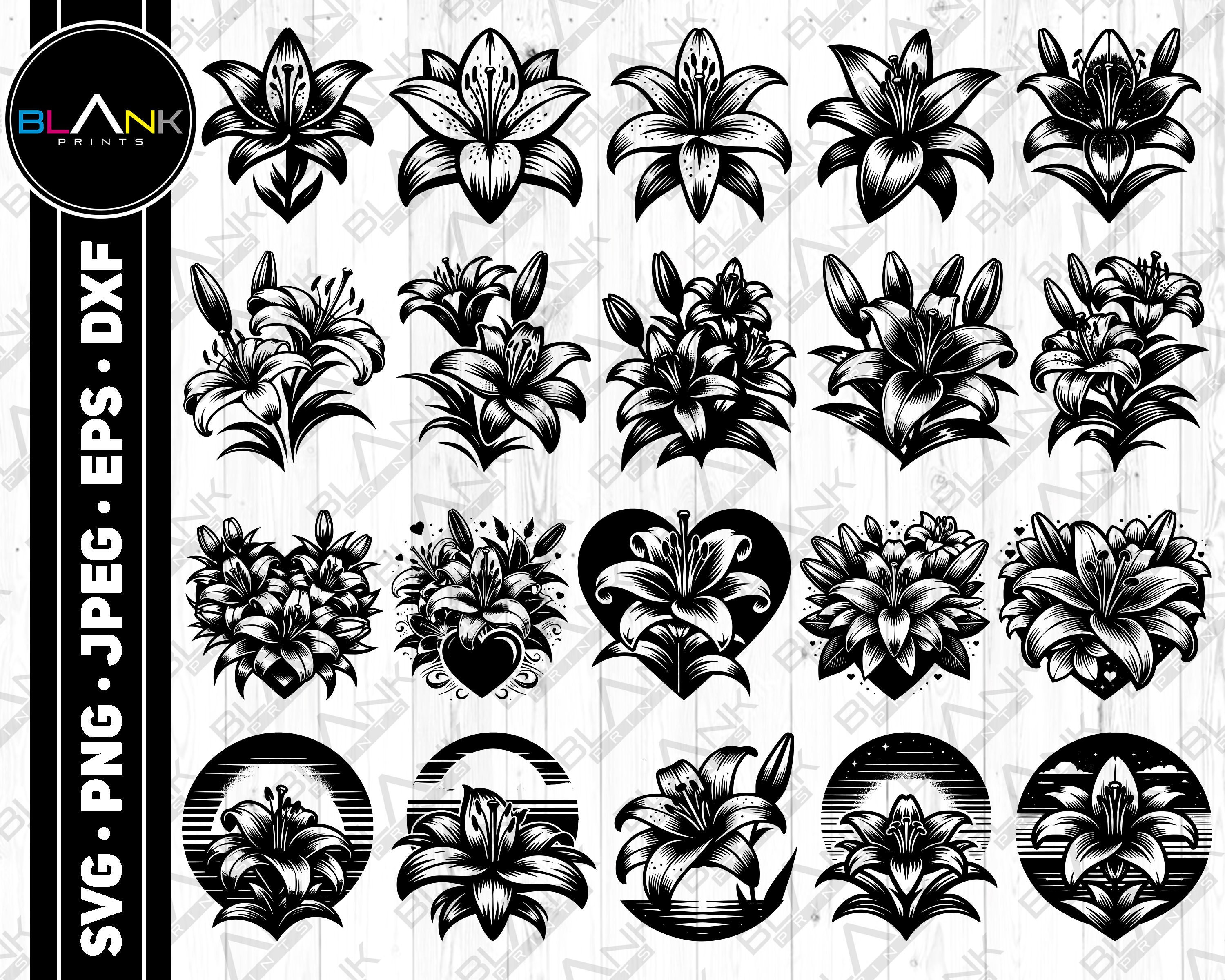 Lily Flower Clipart Bundle, Vector Silhouette (svg, Png, Jpg, Eps, Dxf ...