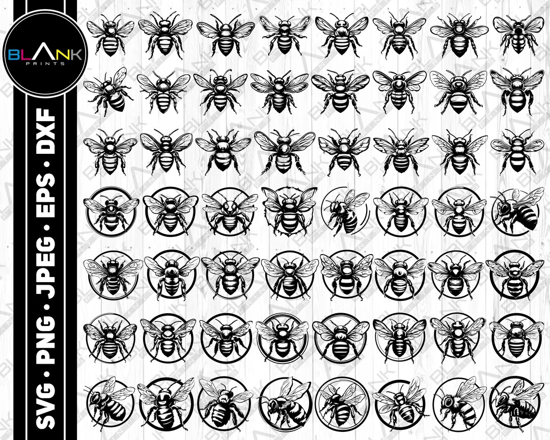 Bee SVG Bundle: Honeycomb Clipart, Cricut & Silhouette (digital ...