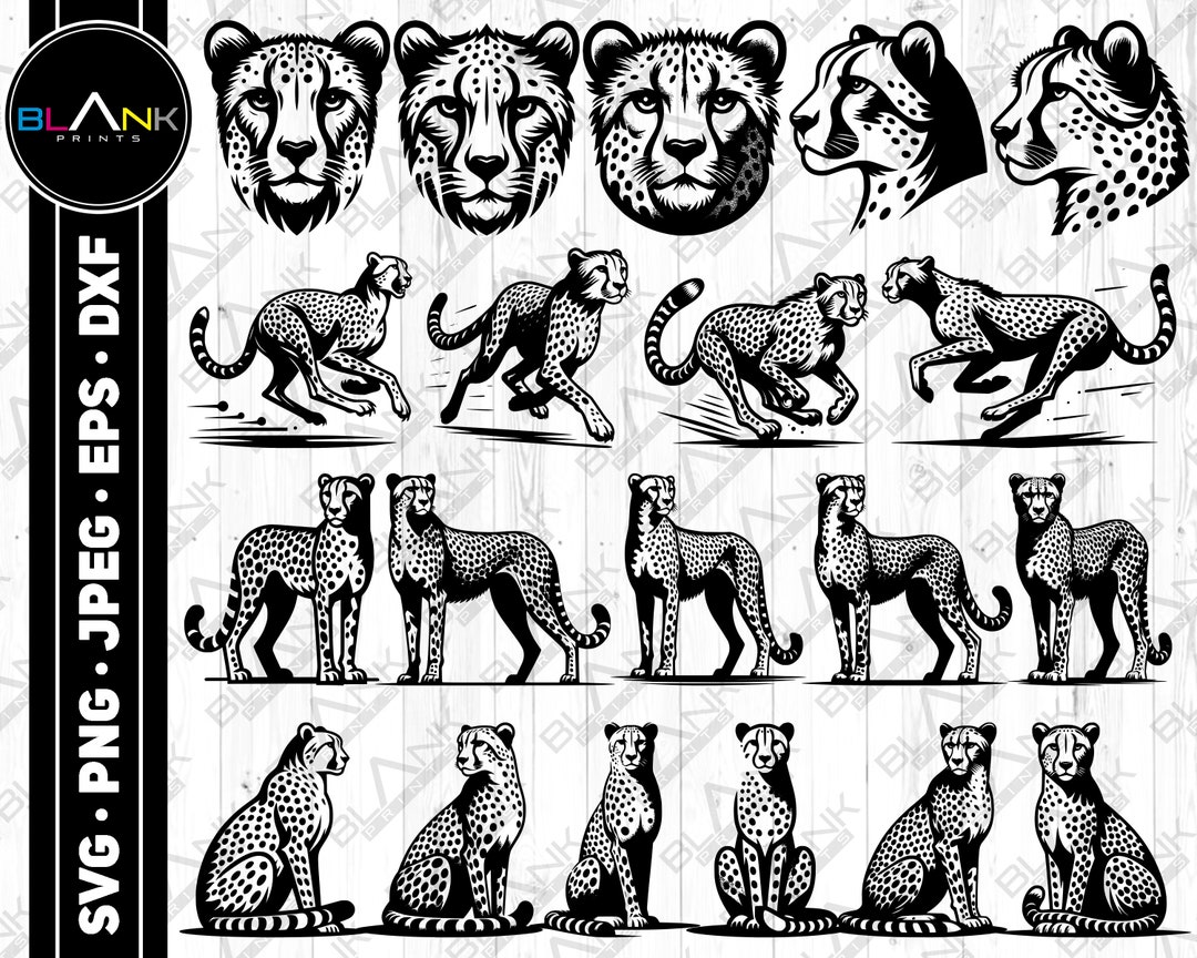Cheetah Bundle Svg Png Jpeg Eps Dxf Bundle Silhouette Cricut Commercial ...