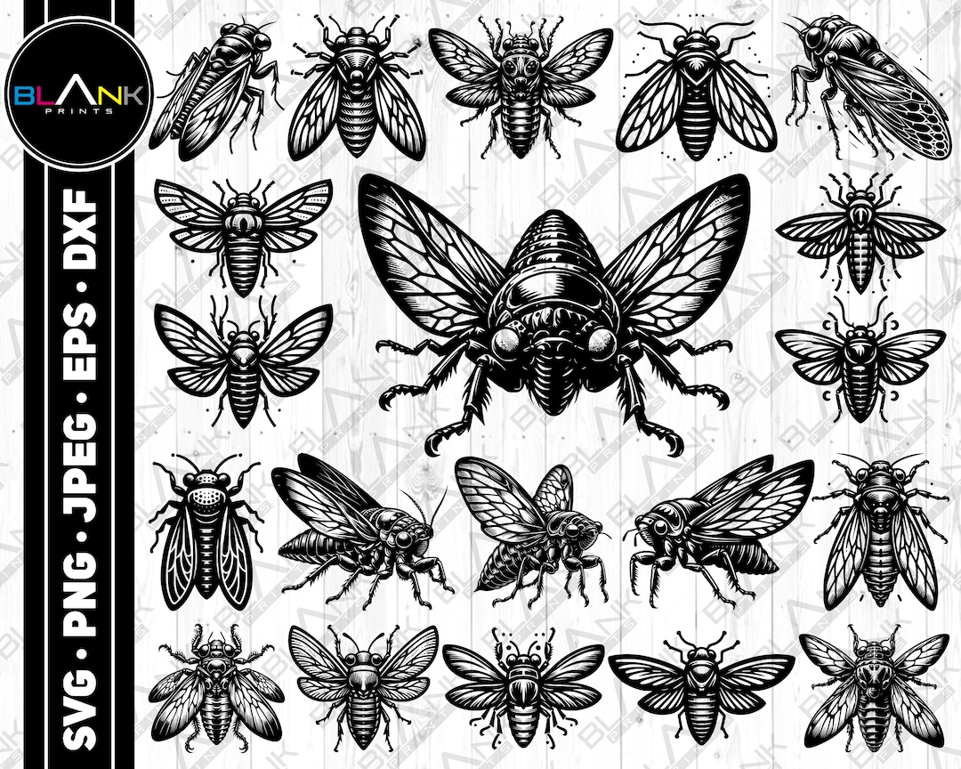 Cicada Vector Silhouette Bundle (svg, Png, Jpg, Eps, Dxf) - Etsy
