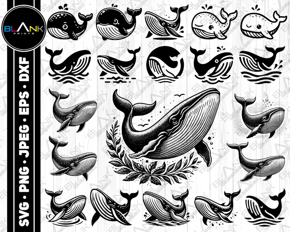 Whale Svg Bundle Svg Png Jpeg Eps Dxf Bundle Silhouette Cricut ...