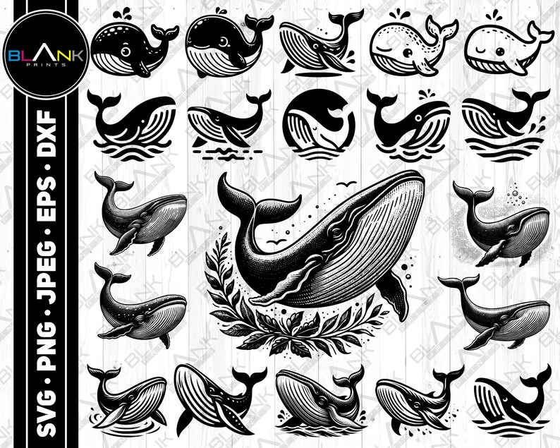 Whale Svg Bundle Svg Png Jpeg Eps Dxf Bundle Silhouette Cricut ...
