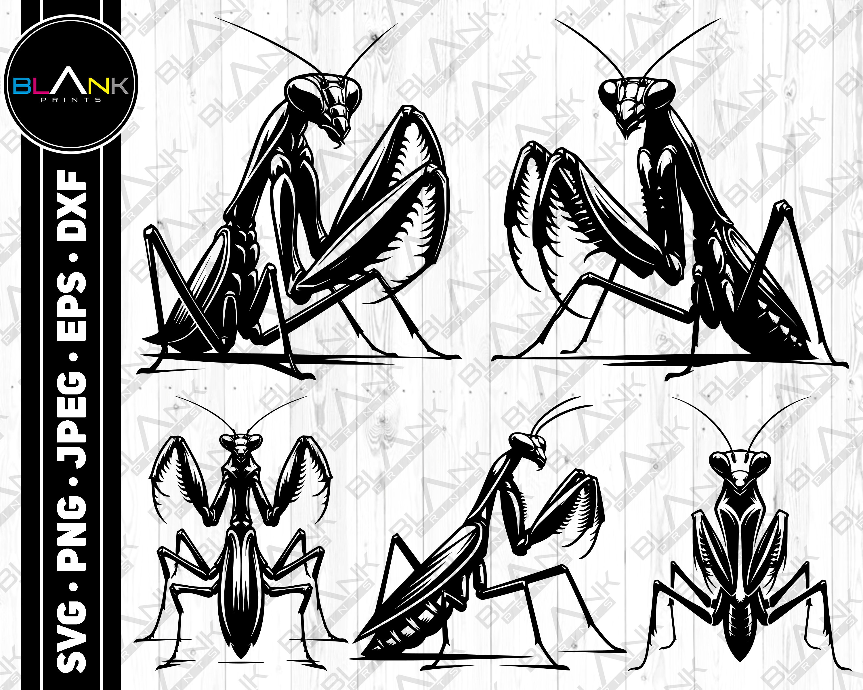Praying Mantis Bundle Svg Png Jpeg Eps Dxf Bundle Silhouette Clipart ...