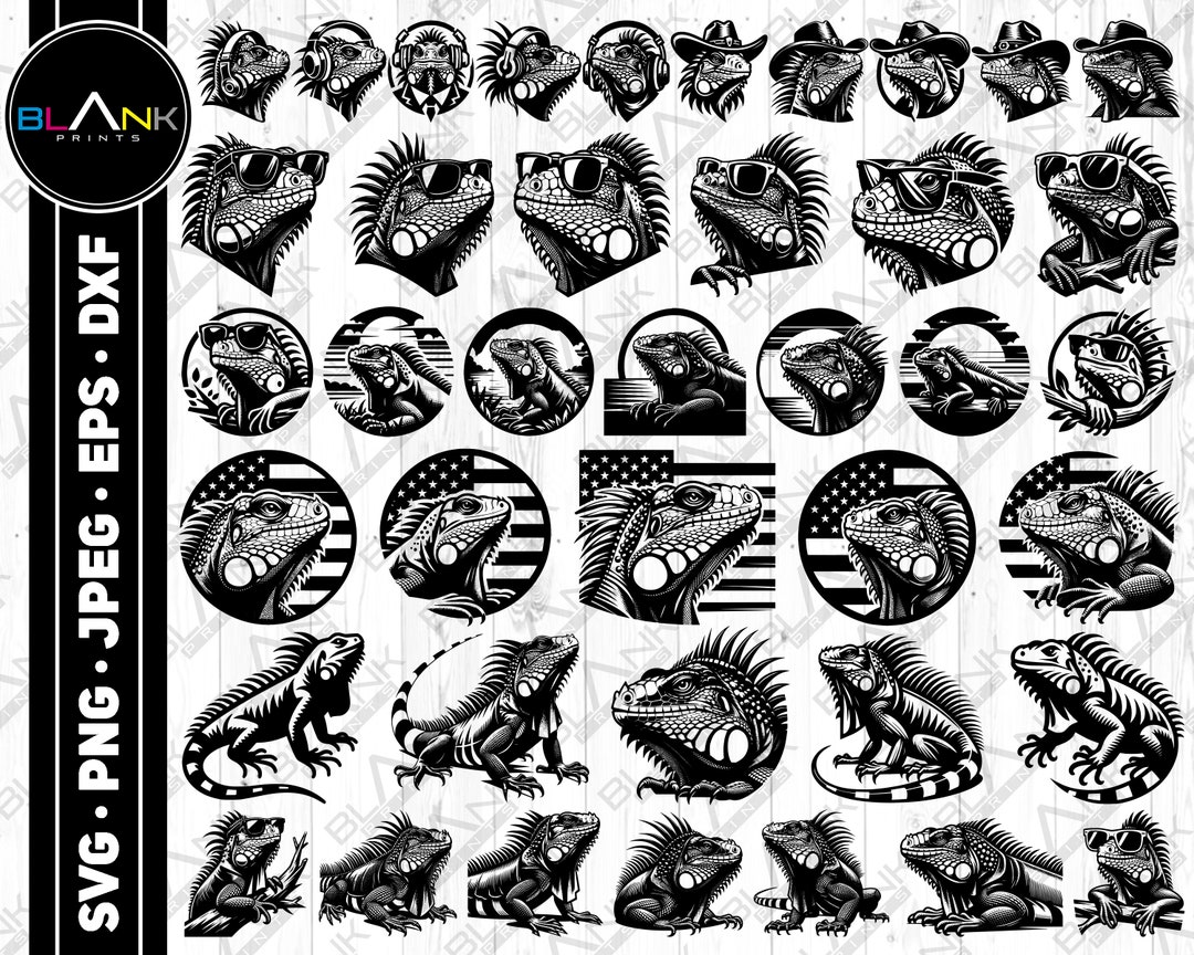 Iguana Bundle Svg Png Jpeg Eps Dxf Bundle Silhouette Cricut Clipart ...