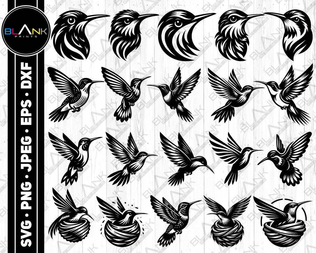 Hummingbird Vector Bundle SVG PNG, Commercial Use (digital Download) - Etsy