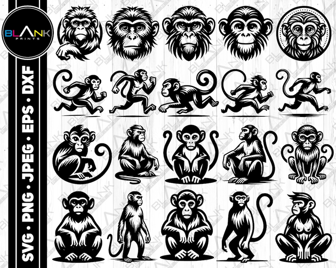 Monkey Bundle Svg Png Jpeg Eps Dxf Vector Bundle Silhouette Cricut ...