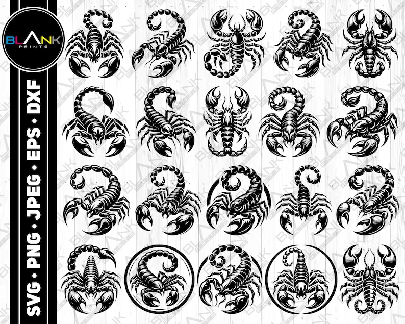 Scorpio Zodiac Sign Bundle Svg Png Jpeg Eps Dxf Bundle Silhouette ...