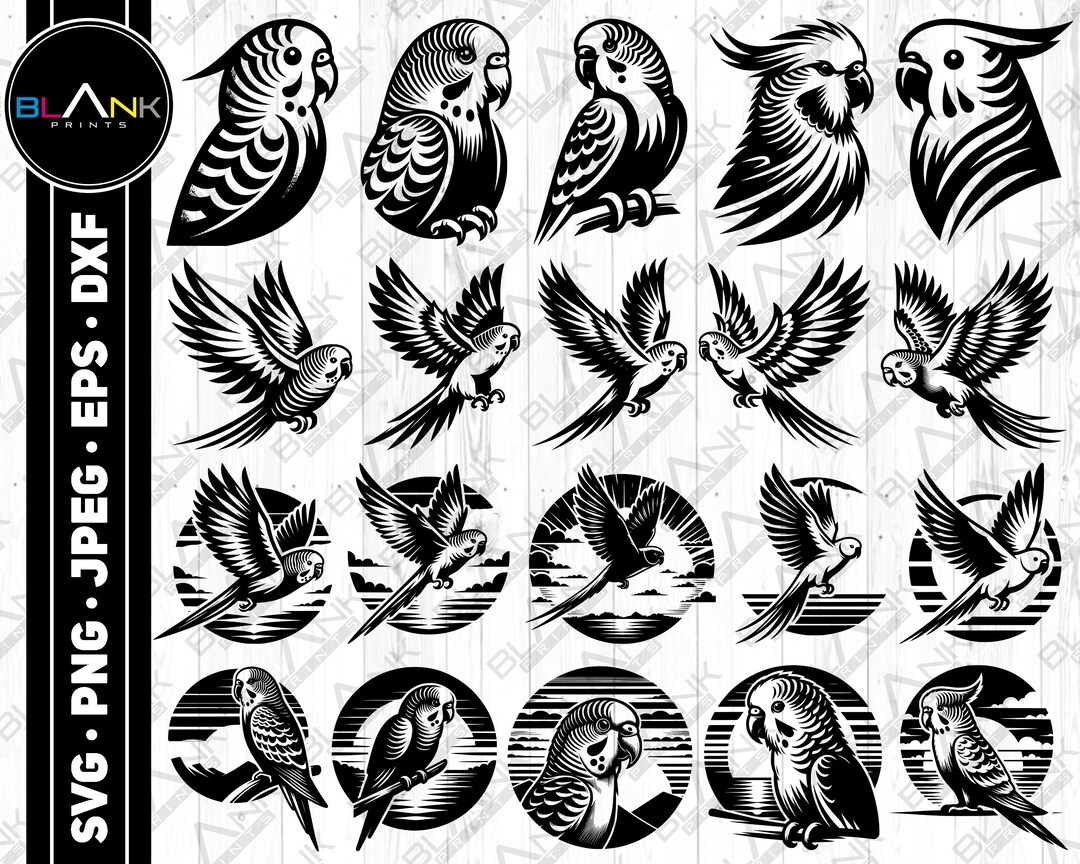 Parakeet Silhouette Bundle (svg, Png, Jpg, Eps, Dxf) - Etsy