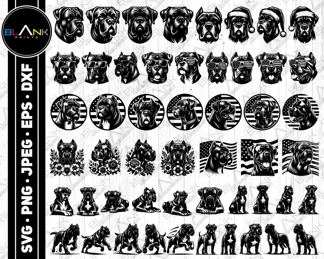 Cane Corso Bundle Custom Svg Png Jpeg Eps Dxf Bundle Silhouette Cricut ...