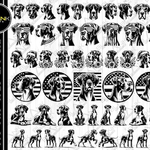 Great Dane Bundle Svg Cut Files Png Jpeg Eps Dxf Bundle Silhouette ...