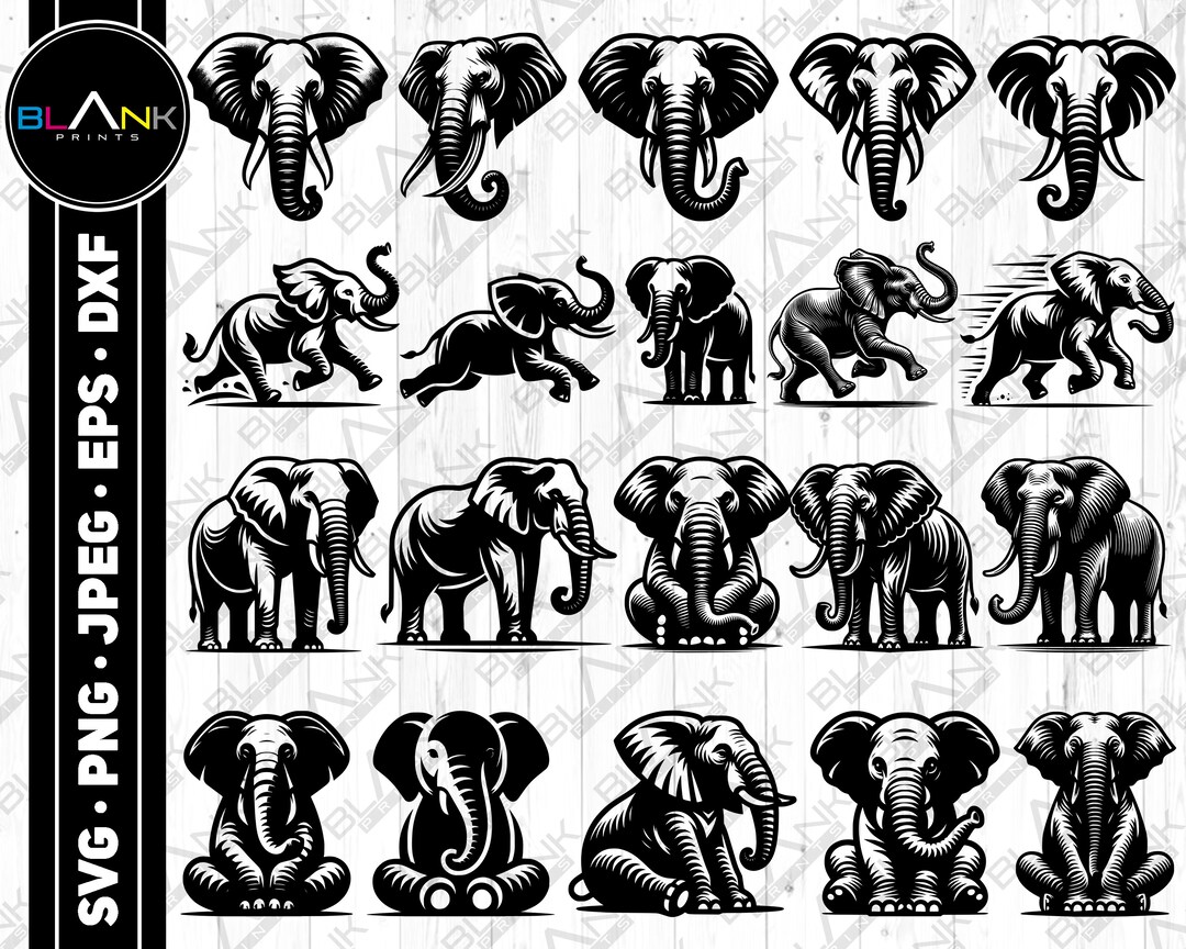 Elephant Bundle Svg Png Jpeg Eps Dxf Vector Bundle Silhouette Cricut ...