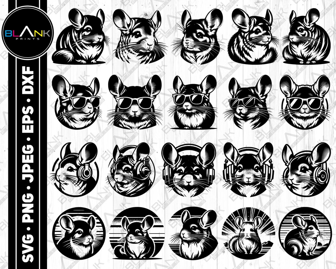 Chinchilla Bundle Svg Png Jpeg Eps Dxf Bundle Silhouette Cricut ...