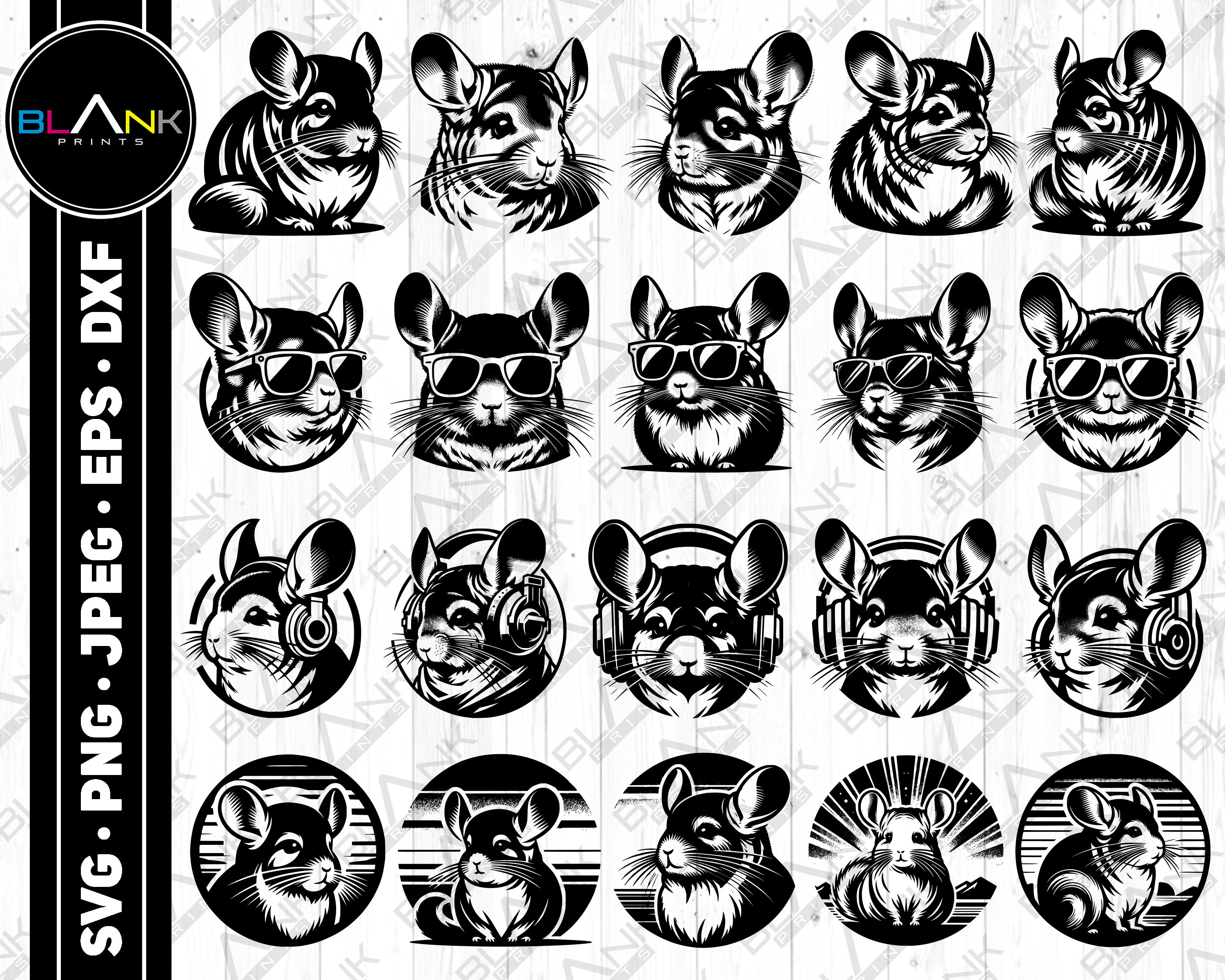 Chinchilla Bundle Svg Png Jpeg Eps Dxf Bundle Silhouette Cricut ...