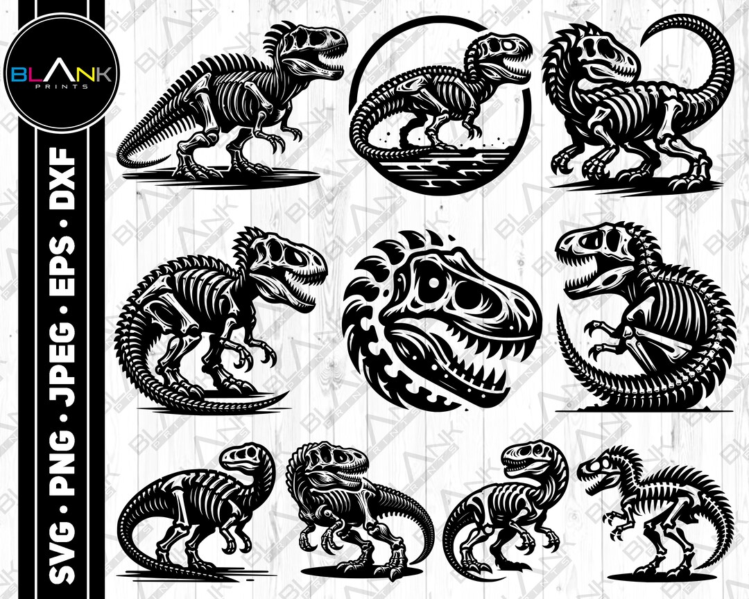 Dinosaur Fossil Bundle Svg Png Jpeg Eps Dxf Bundle Silhouette Clipart ...