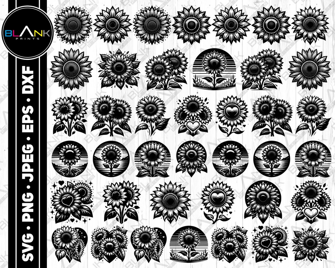 Sunflower Bundle Svg Png Jpeg Eps Dxf Bundle Silhouette Cricut ...
