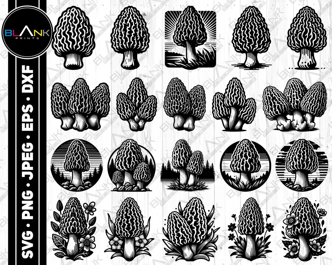 Morel Mushroom Clipart Bundle (svg, Png, Eps, Dxf) (digital Download ...