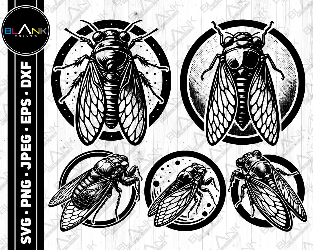 Cicada Bundle Svg Png Jpeg Eps Dxf Engrave Silhouette Clipart Cricut ...