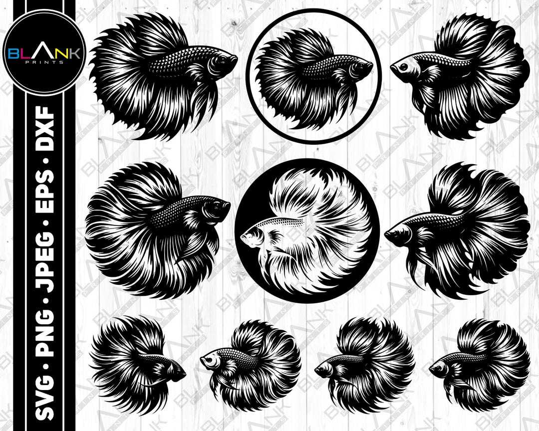 Betta Fish Bundle Svg Png Jpeg Eps Dxf Vector Bundle Silhouette Cricut ...