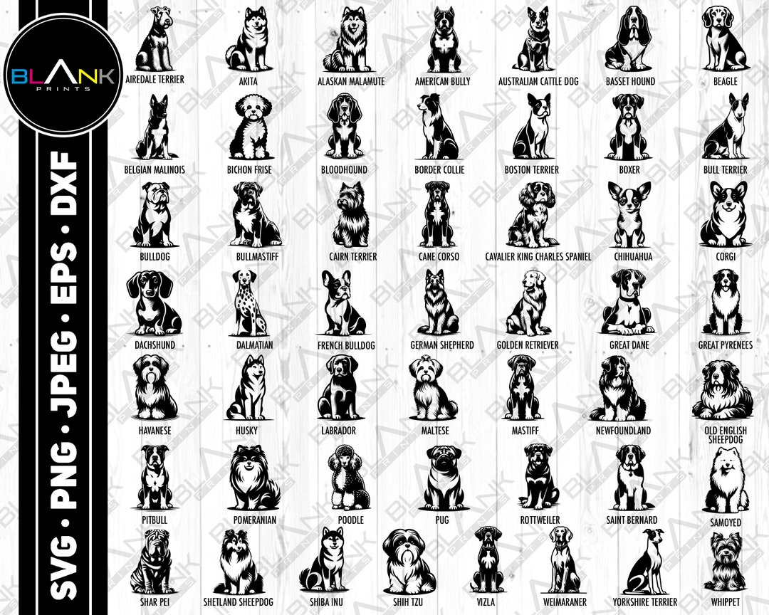 Dog Breeds SVG Bundle: 50+ Designs (digital Download) - Etsy