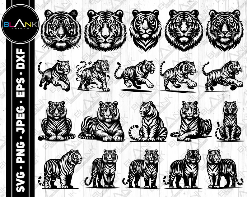 Tiger Vector Art Bundle, Running, Sitting, Standing (svg, Png, Jpg, Eps ...