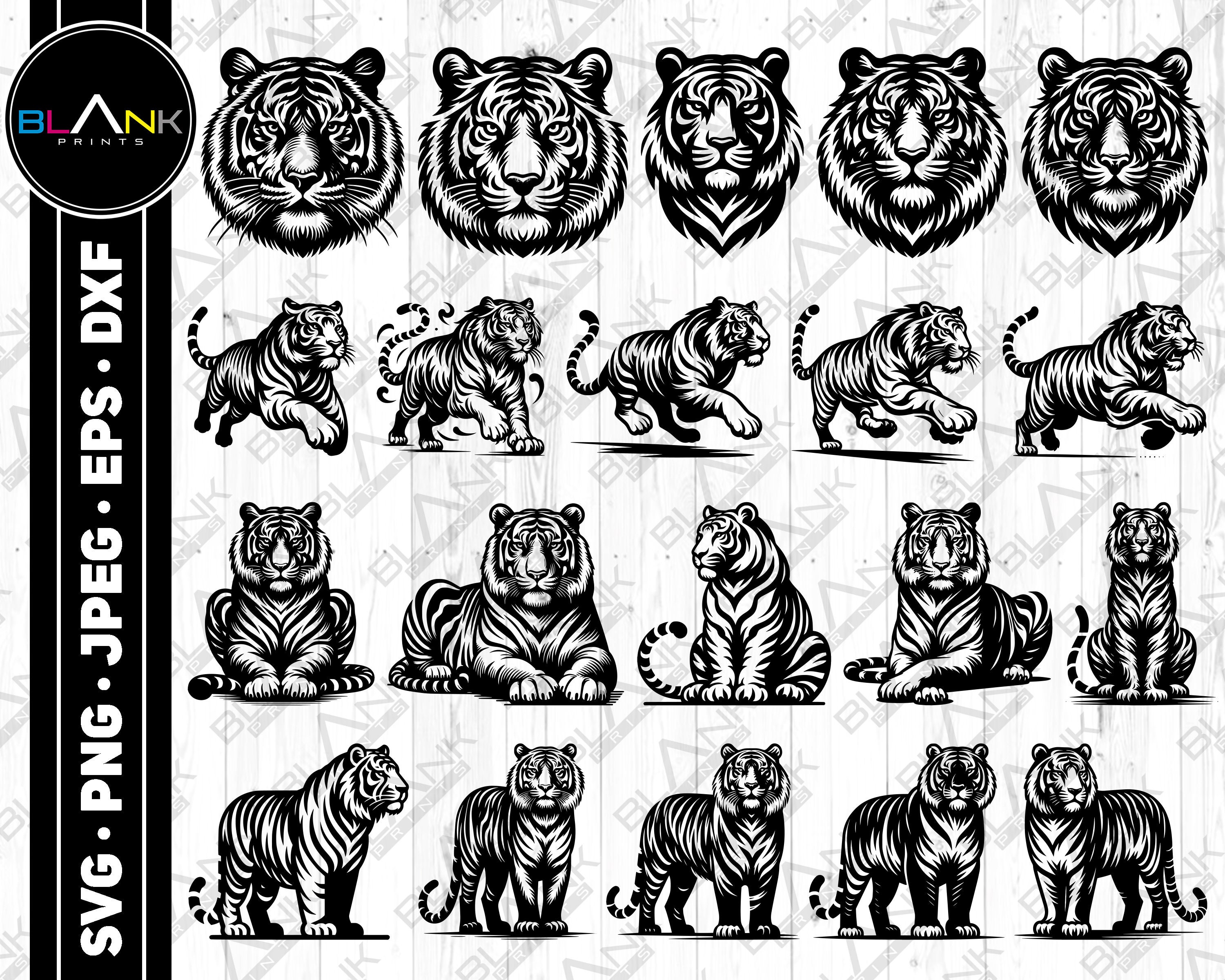 Tiger Bundle Svg Png Jpeg Eps Dxf Bundle Silhouette Cricut Commercial ...