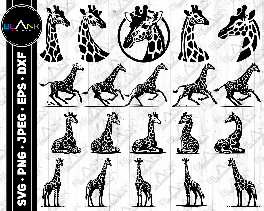 Giraffe Vector Bundle (svg, Png, Eps, Dxf), Commercial Use (digital ...
