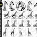 Giraffe Vector Bundle (svg, Png, Eps, Dxf), Commercial Use (digital ...