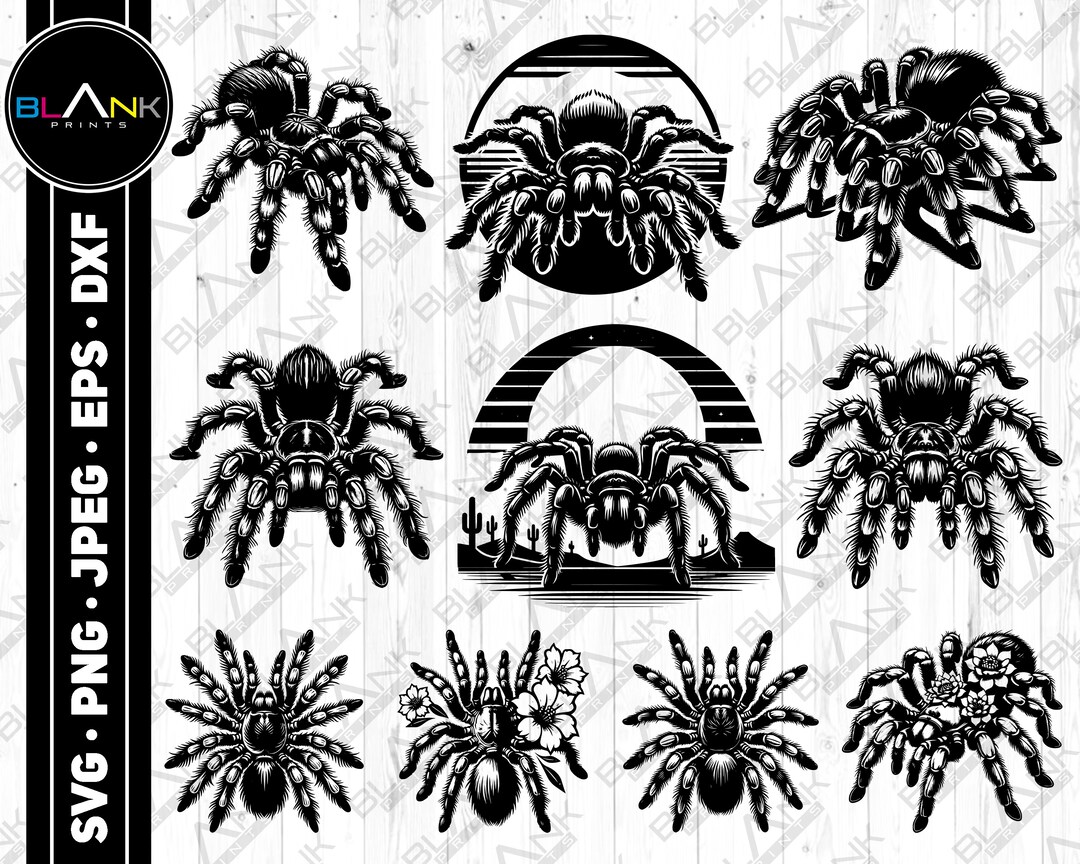 Tarantula Bundle Svg Png Jpeg Eps Dxf Bundle Silhouette Clipart Cricut ...
