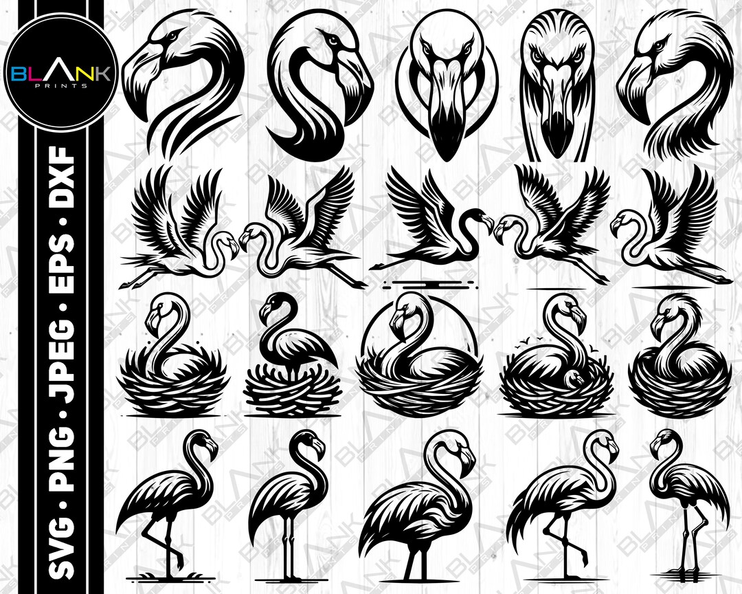 Flamingo Vector Bundle: Svg, Png, Jpg, Eps, Dxf (digital Download) - Etsy