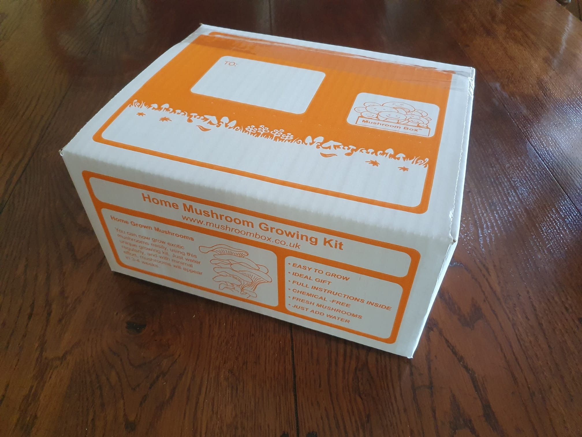 Mushroombox Blue-grey Oyster Mushroom Growing Kit - Home Growing - Etsy UK