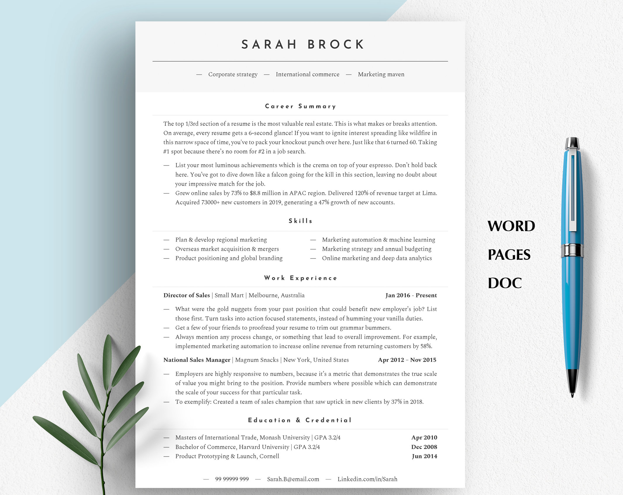 Executive Resume Template Word & Pages, CV Google Docs CV Template ...