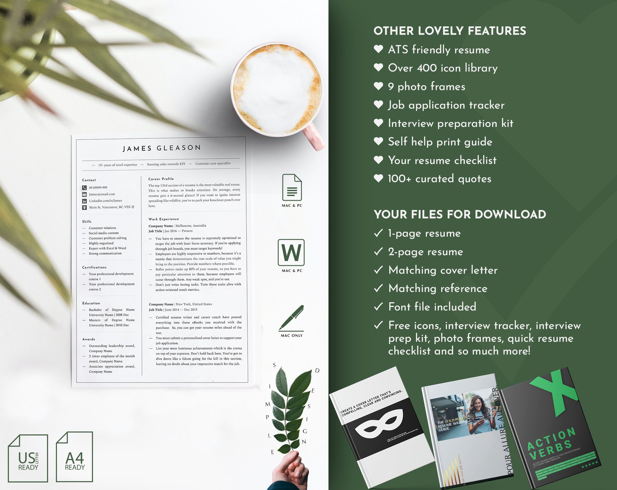 Basic Resume Example, Clean Template Microsoft Word, Resume Template ...