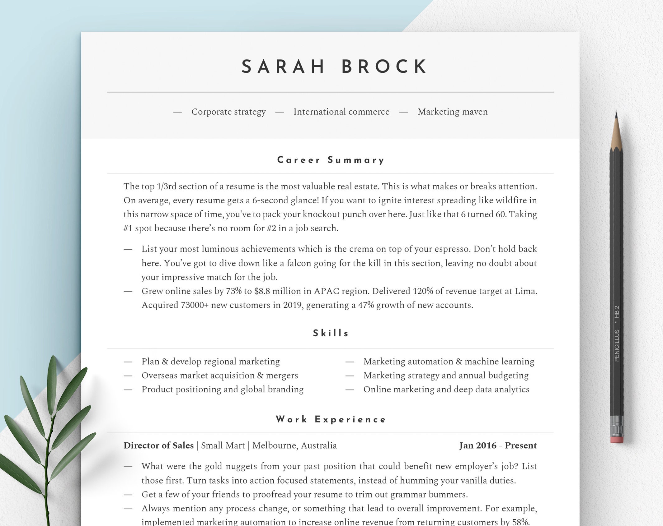 Executive Resume Template Word & Pages, CV Google Docs CV Template ...