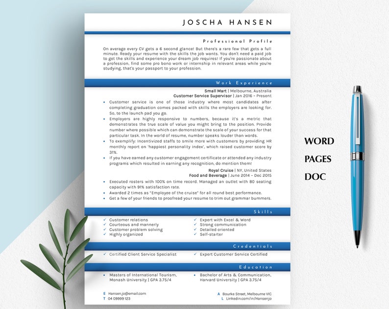 CUSTOMER SERVICE RESUME Template, Ats Resume Customer Service, Call ...